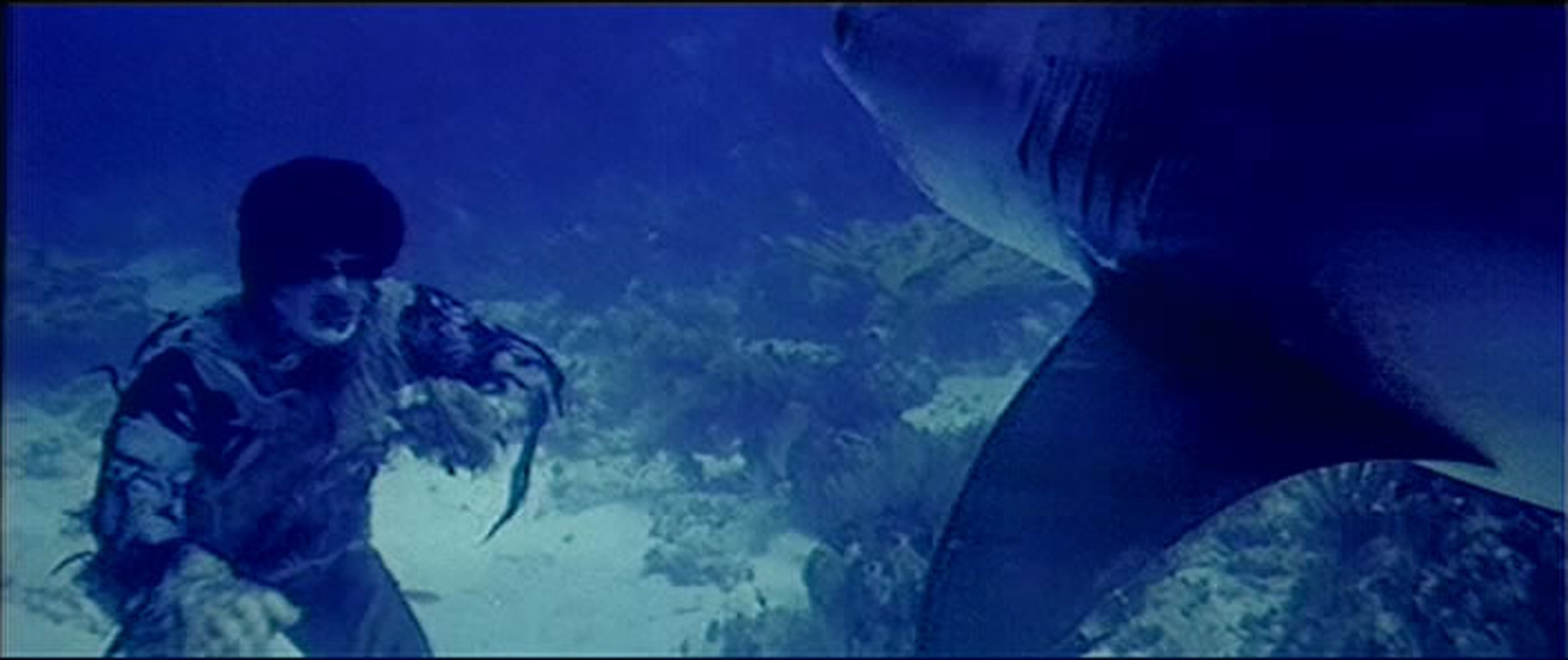 Kmalu! Morske radosti! | Radio Študent