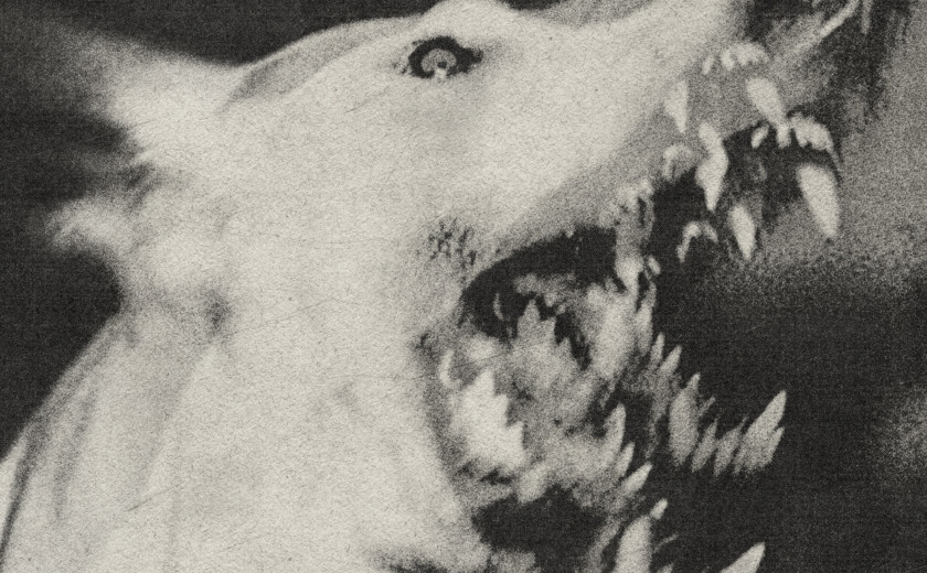 Naj tuja Tolpa bumov 2025 – Ciśnienie: [angry noises] | Radio Študent